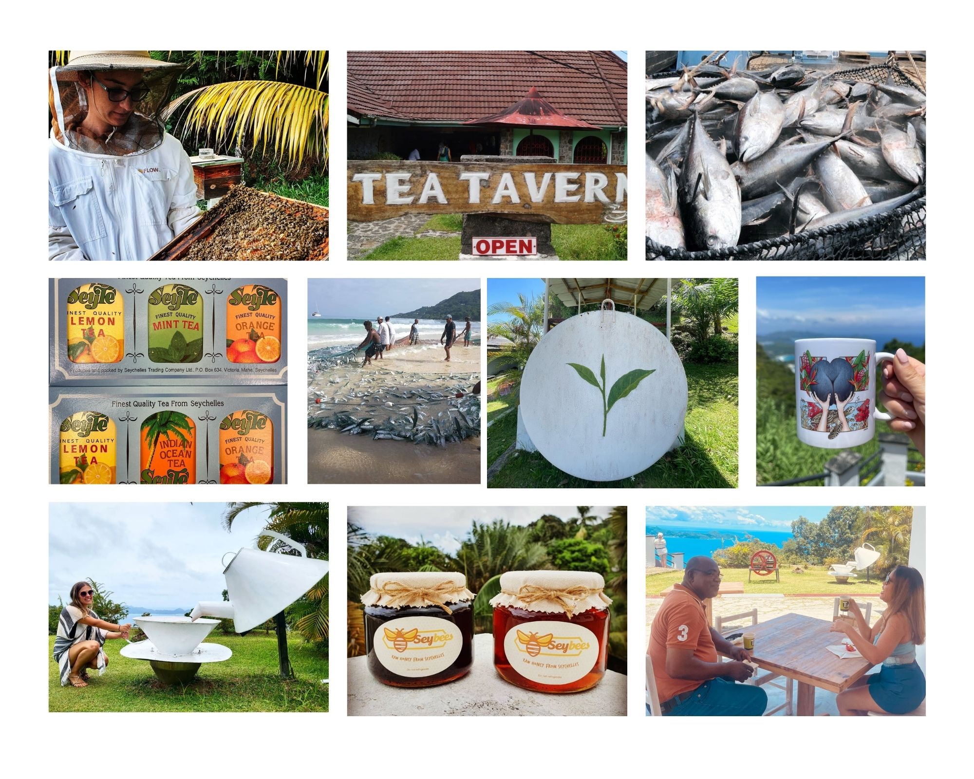 Conheça três produtos locais deliciosos para trazer de Seychelles - GVA ...